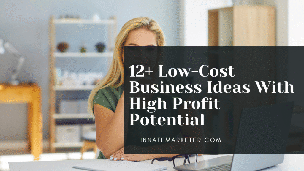 12+ Low-Cost Business Ideas With High Profit Potential - Innatemarketer